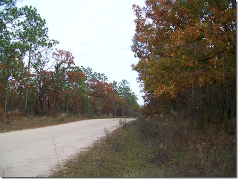 Our Nature: Fall Above and Below the Cody Scarp